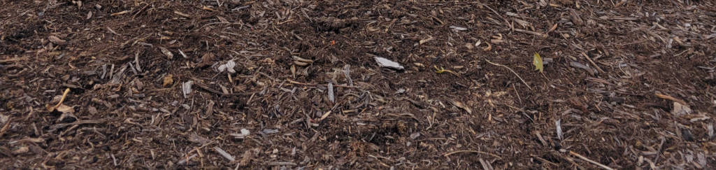 Professional Soil Care Technicians & Treatment for Plant Health Care