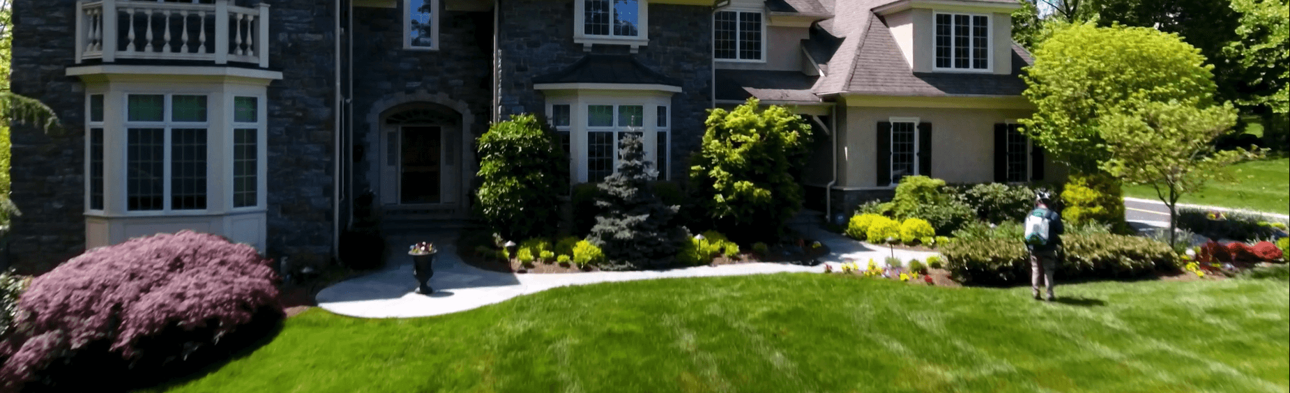 Plant Health Care in Wayne PA - Burkholder Plant Health Care